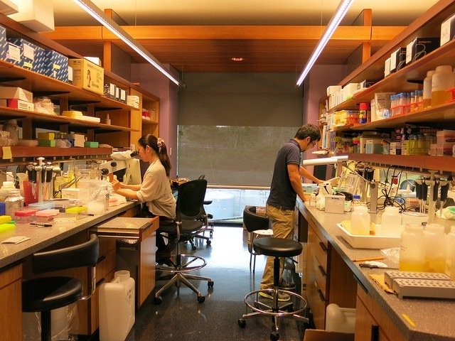 Saruav Chemicals plans new unit in Nimbua - Punjab Industry News